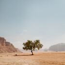 MultiTracks Player for Live Performance | MultiTracks.com